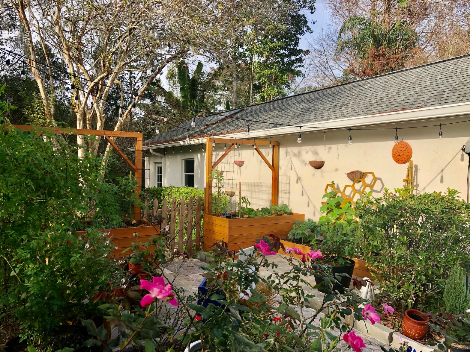 Gardening: Problem Solving – Central Florida Family Gardening